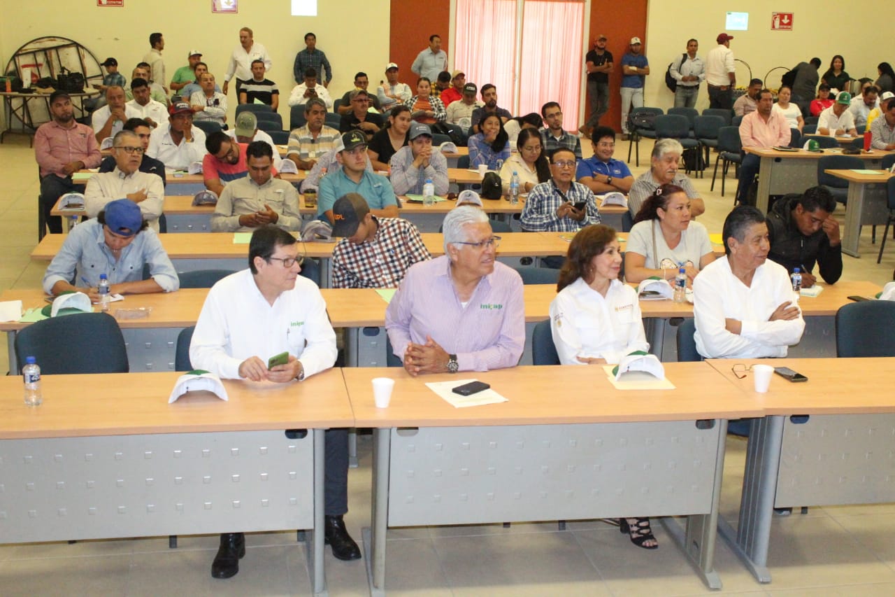 Inició en Colima el curso 'Manejo Integrado del Limón Mexicano con HLB ...